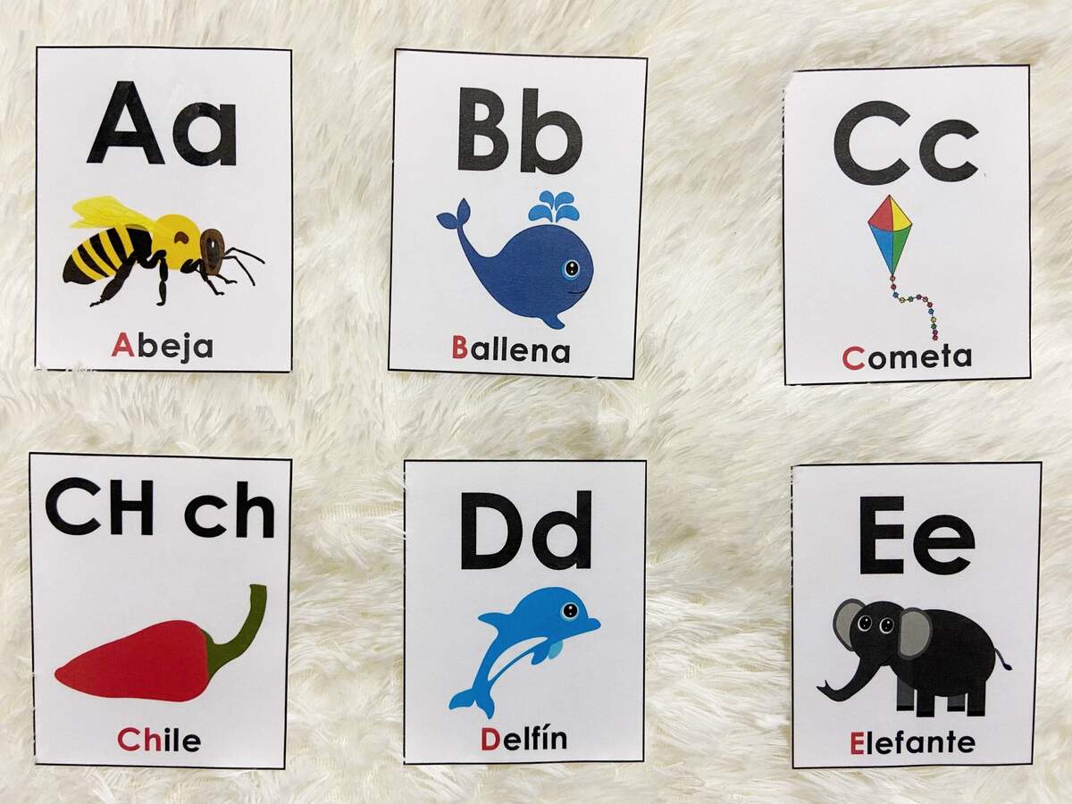 Spanish Alphabet Printable Flash Cards - Kids Worksheets Lab