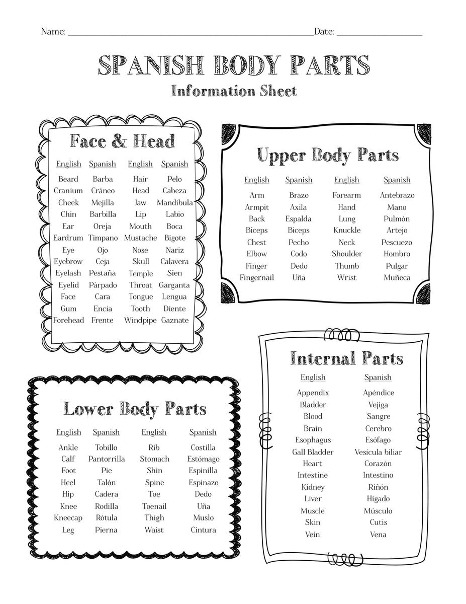 Body Parts Worksheets In Spanish - Kids Worksheets Lab